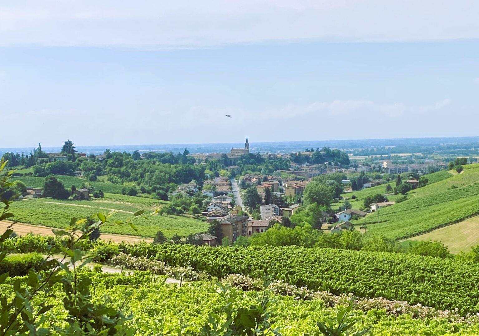 Casteggio e la sua storia romana - ViviOltrepò